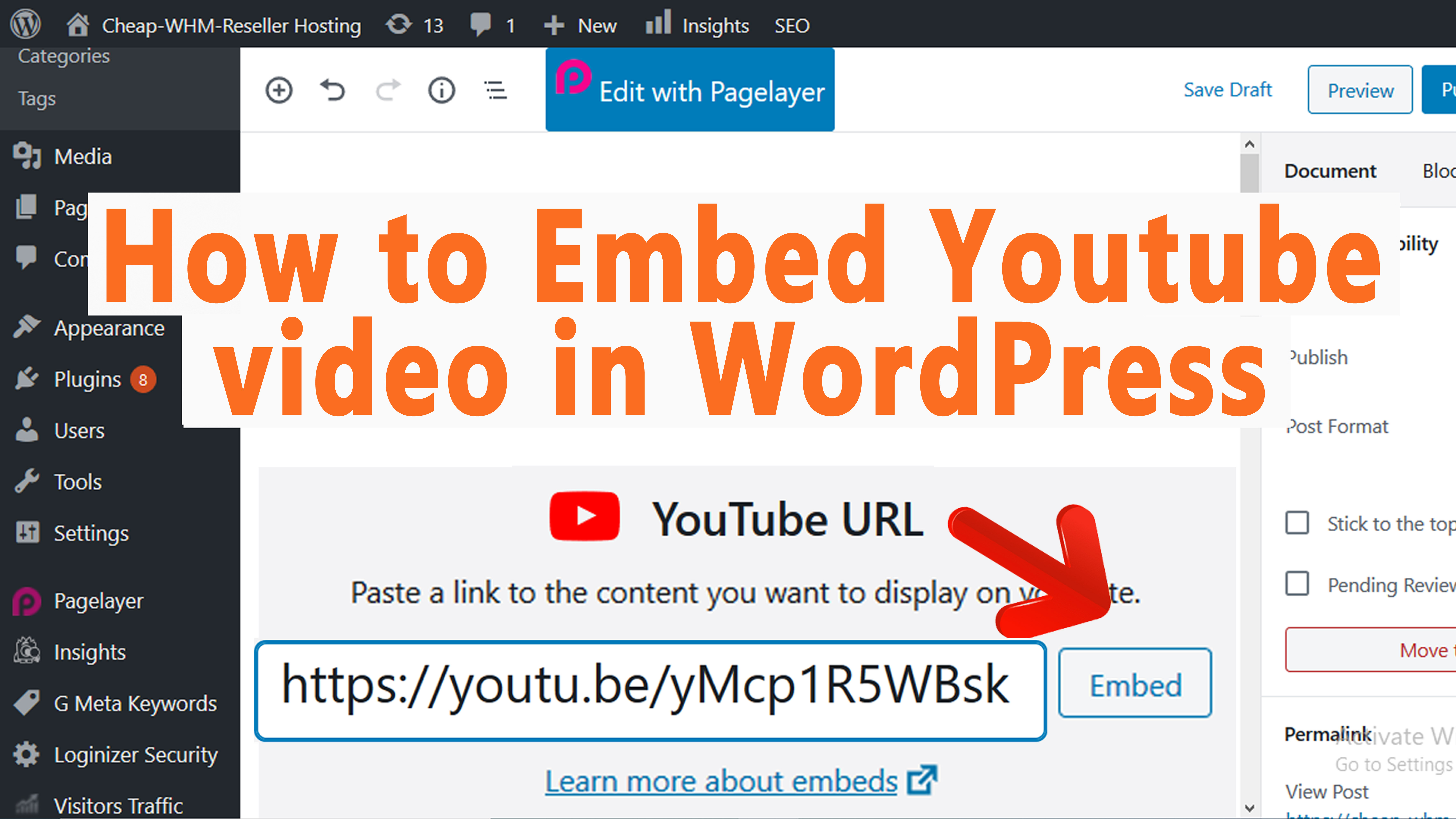 How To Embed A Youtube Video In Your WordPress Post STEP BY STEP Red Server Host