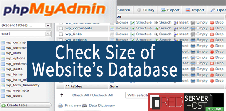 How To Check Size Of Website Database Red Server Host